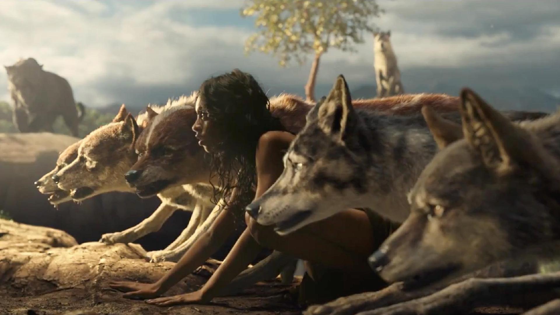 Mogli: Entre dois mundos- Uma visão realista do Menino Lobo